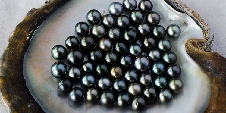 how-to-choose-black-pearls