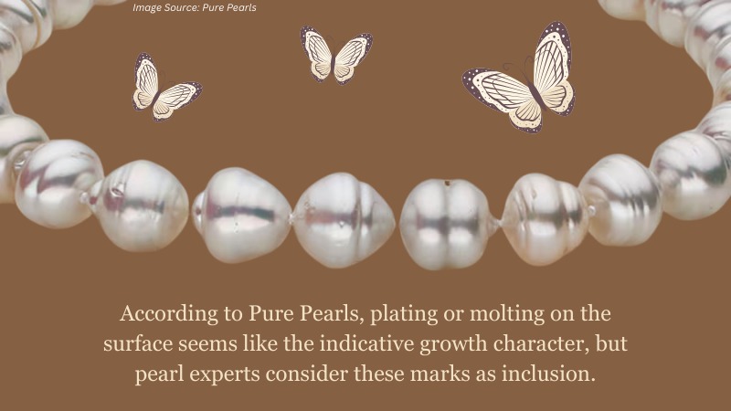 South Sea Pearl Inclusions Guide: Genuine Forms On List!