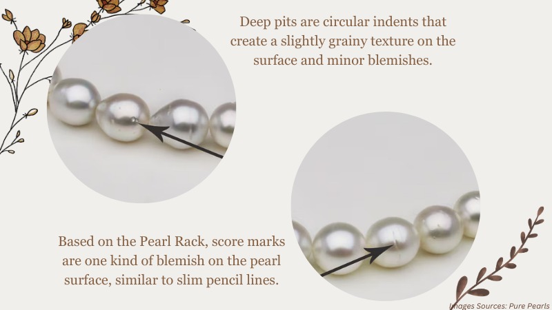 South Sea Pearl Inclusions Guide: Genuine Forms On List!
