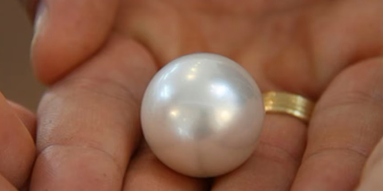 Expert Tips on Understanding Pearl Shapes