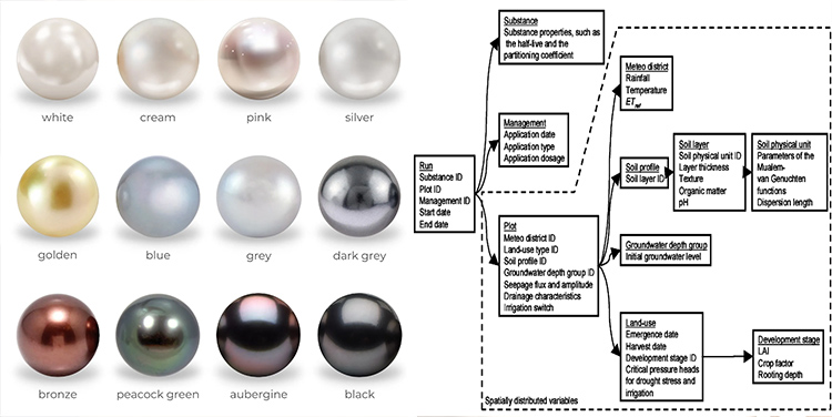 Pearl Elegance Preserved: A Comprehensive Guide to Cleaning and ...