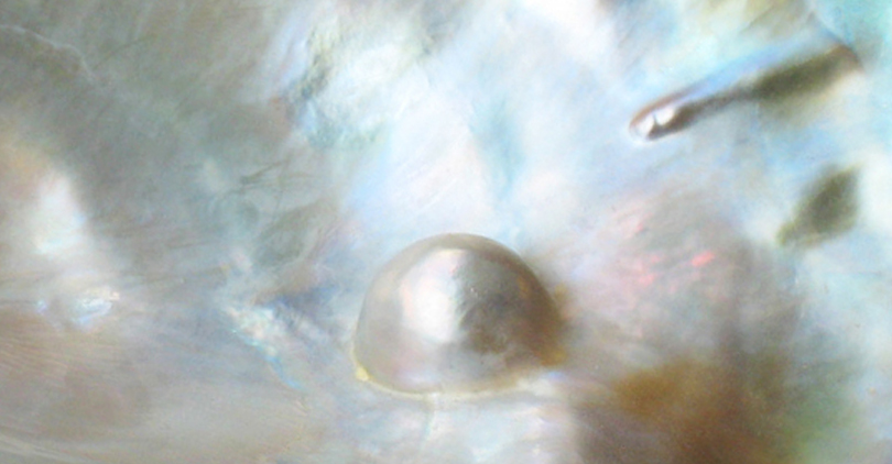 A Comprehensive Guide to Mabe Pearls