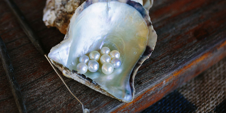 From Akoya to Tahitian: Your Ultimate Guide to Exquisite Pearl Types