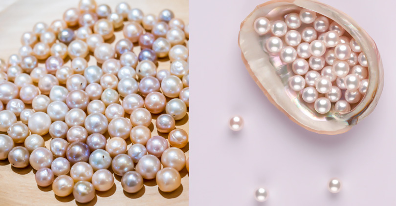 Akoya vs Freshwater Pearls: Choosing the Perfect Pearl Type