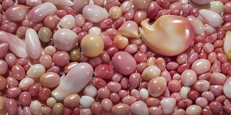 The Alluring Beauty and Rarity of Conch Pearls: An Overview