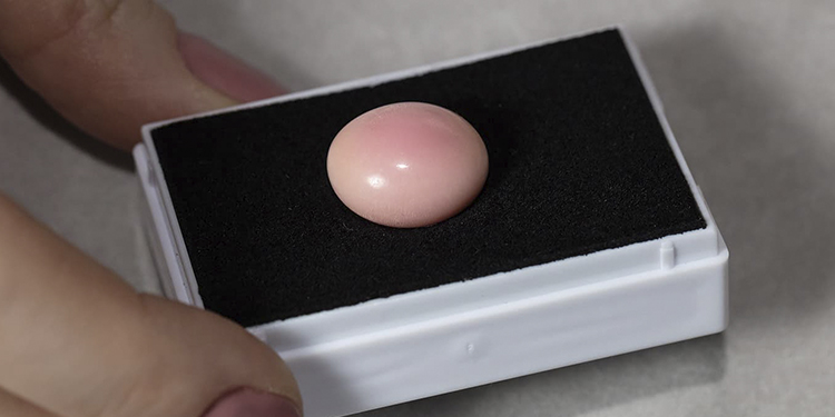 The Alluring Beauty and Rarity of Conch Pearls: An Overview