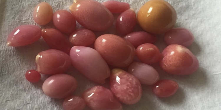 The Alluring Beauty and Rarity of Conch Pearls: An Overview