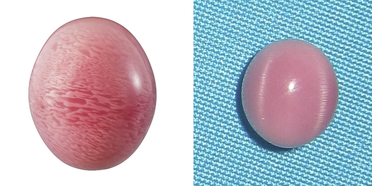 The Alluring Beauty and Rarity of Conch Pearls: An Overview