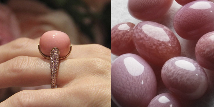 The Alluring Beauty and Rarity of Conch Pearls: An Overview