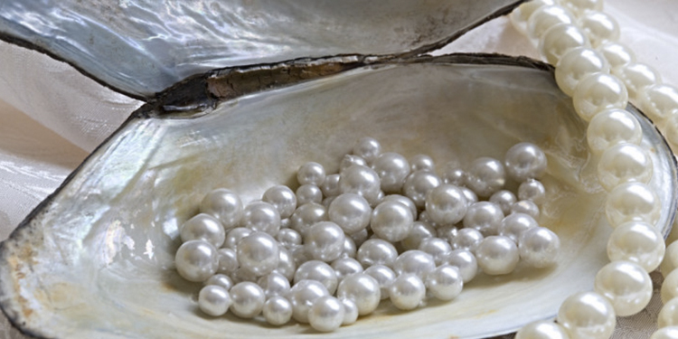 The Alluring Beauty and Rarity of Conch Pearls: An Overview