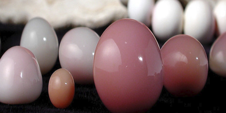 The Alluring Beauty and Rarity of Conch Pearls: An Overview