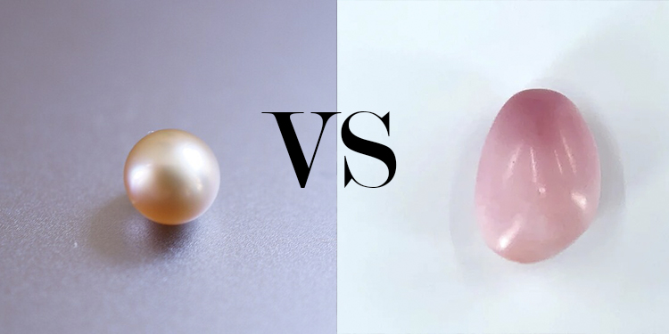 The Alluring Beauty and Rarity of Conch Pearls: An Overview