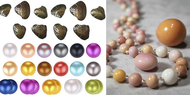 The Alluring Beauty and Rarity of Conch Pearls: An Overview