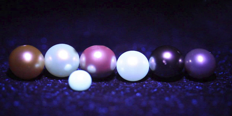 The Alluring Beauty and Rarity of Conch Pearls: An Overview