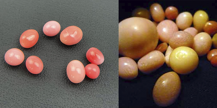 The Alluring Beauty and Rarity of Conch Pearls: An Overview