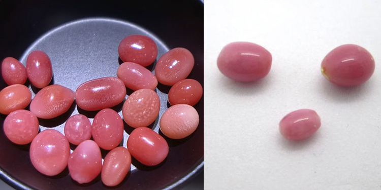 The Alluring Beauty and Rarity of Conch Pearls: An Overview