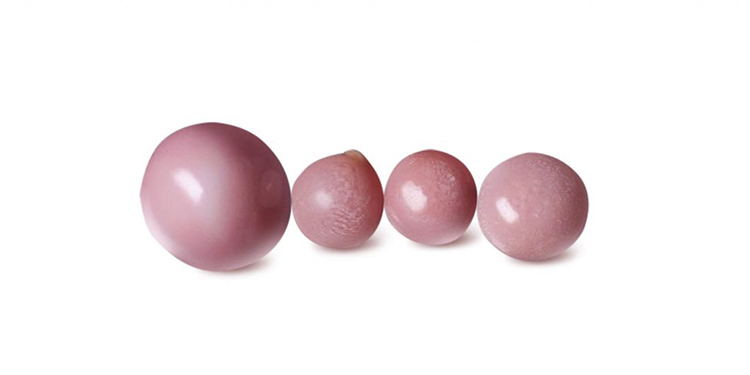 The Alluring Beauty and Rarity of Conch Pearls: An Overview