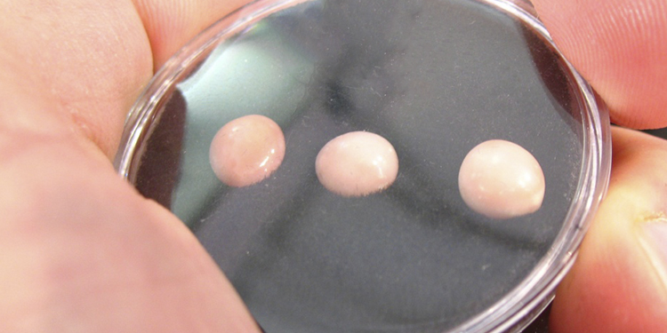 The Alluring Beauty and Rarity of Conch Pearls: An Overview