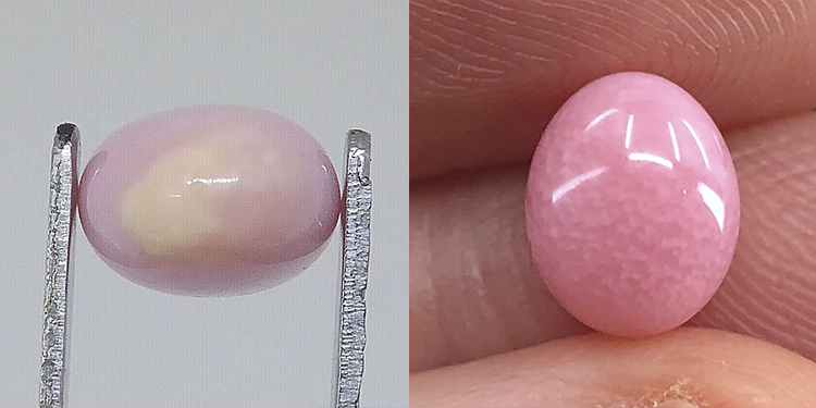 The Alluring Beauty and Rarity of Conch Pearls: An Overview