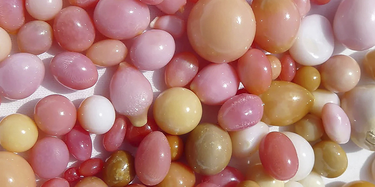 The Alluring Beauty and Rarity of Conch Pearls: An Overview
