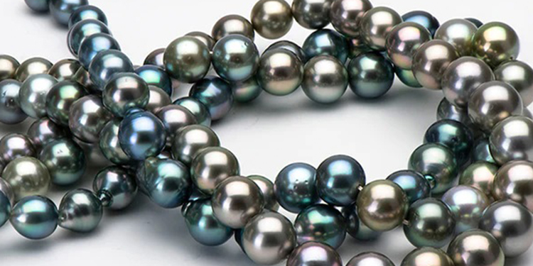 Decoding the Mystery of Black Pearls: A Guide to Choosing the Perfect One