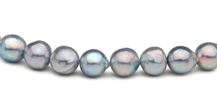 Revealing the Enigmatic Allure of Natural Blue Akoya Pearls