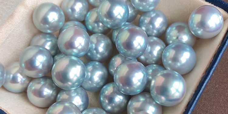 Revealing the Enigmatic Allure of Natural Blue Akoya Pearls