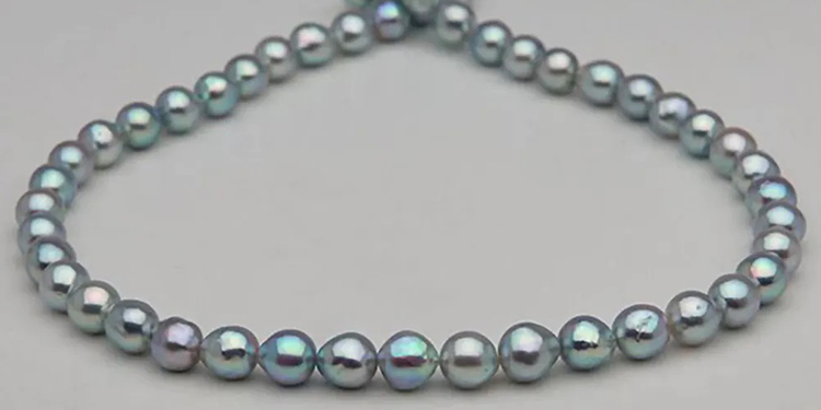 Revealing the Enigmatic Allure of Natural Blue Akoya Pearls