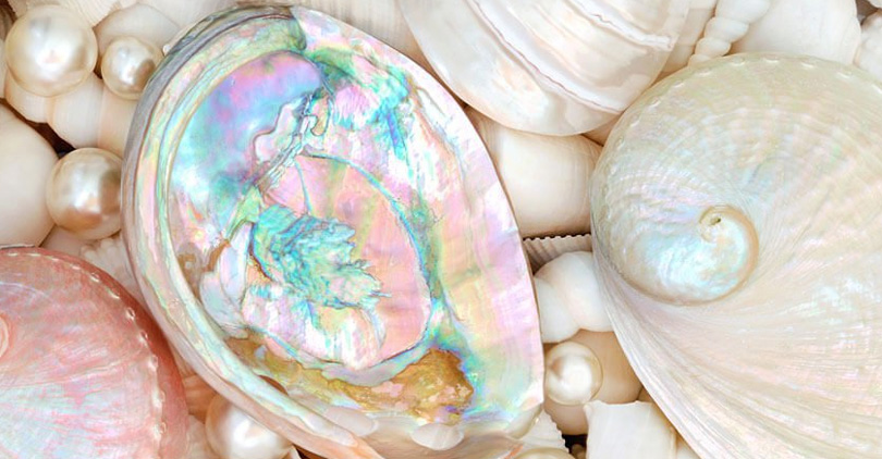 Everything You Need to Know about Mother of Pearl
