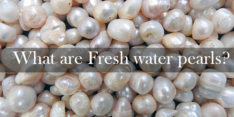 Expert Guide to the Comprehensive Value of Freshwater Pearls