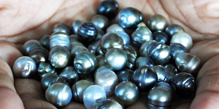 From Natural to Cultured- A Guide to Different Pearl Types and Values