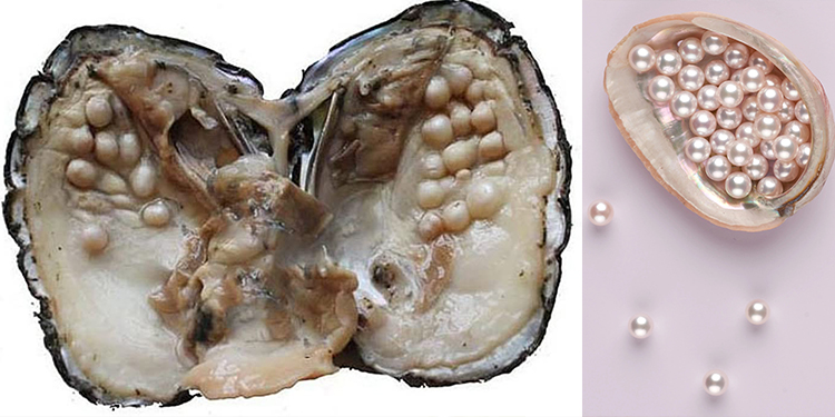 From Natural to Cultured- A Guide to Different Pearl Types and Values