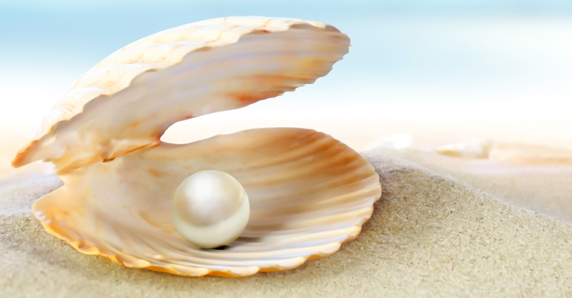 How Do Oysters Make Pearls and Why?