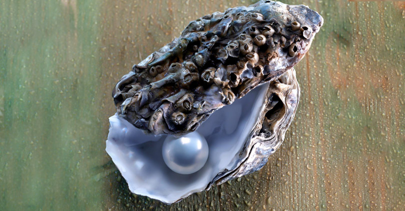 How Do Oysters Make Pearls and Why?