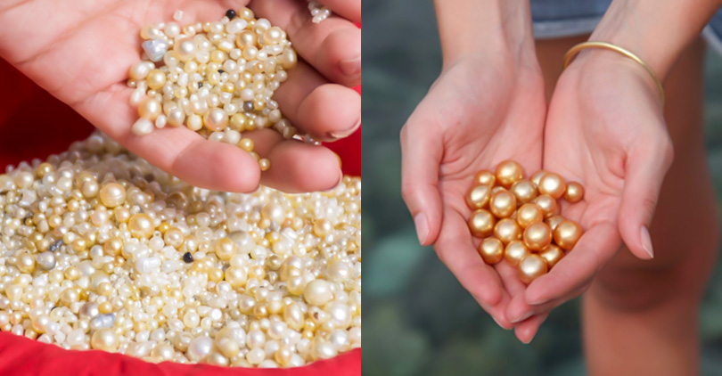 How Do Oysters Make Pearls and Why?