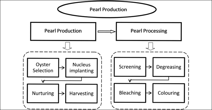 How Do Oysters Make Pearls and Why?