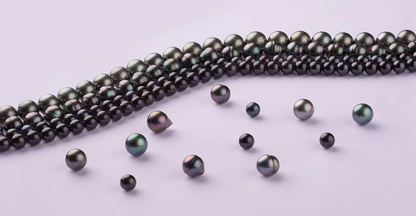 How Much Are Black Pearls Worth? Are Black Pearls Expensive?