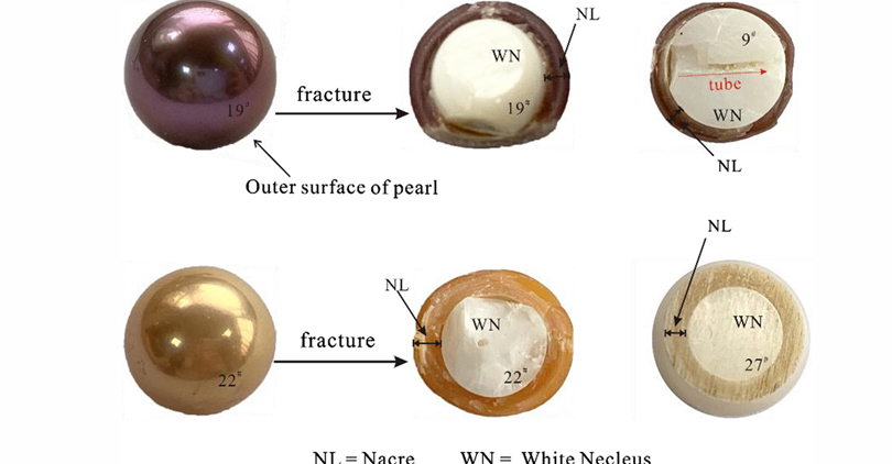 How Much Are Edison Pearls Worth?