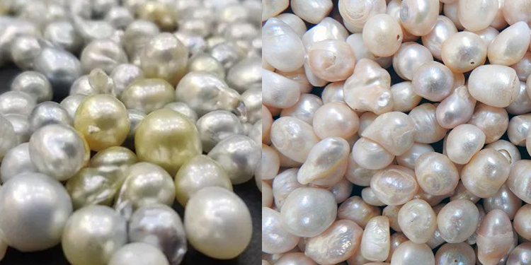 How Much Do Pearls Cost? Are Pearls a Good Investment?