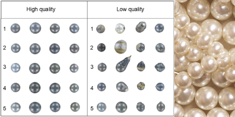 How Much Do Pearls Cost? Are Pearls a Good Investment?