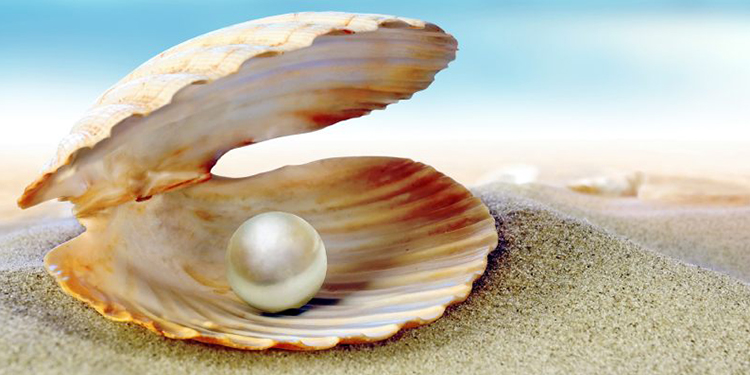 How Much Do Pearls Cost? Are Pearls a Good Investment?