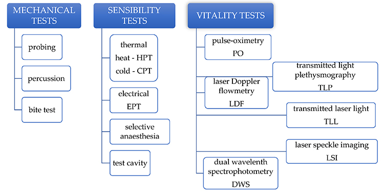 Decoding the 'Tooth Test': Unveiling Its Efficacy in Identifying ...