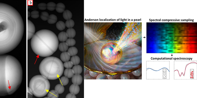 Decoding the 'Tooth Test': Unveiling Its Efficacy in Identifying ...