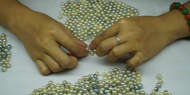 Decoding the 'Tooth Test': Unveiling Its Efficacy in Identifying ...