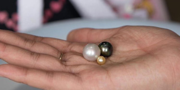 Decoding the 'Tooth Test': Unveiling Its Efficacy in Identifying ...