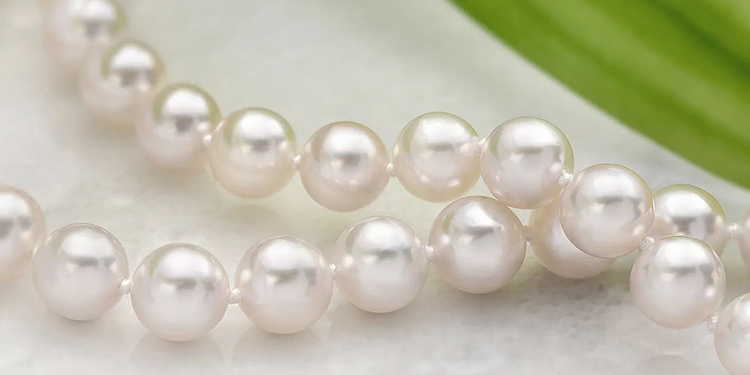 Decoding the 'Tooth Test': Unveiling Its Efficacy in Identifying ...