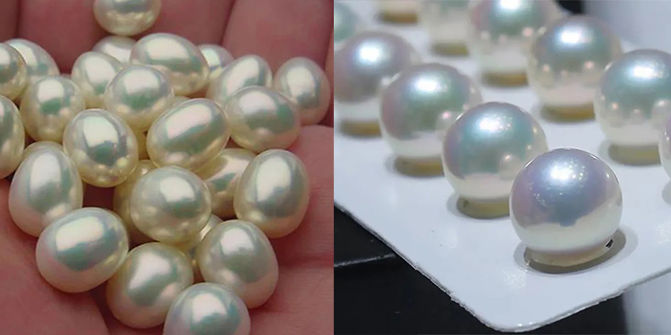 Japanese Akoya vs. Chinese Freshwater Pearls Comparison