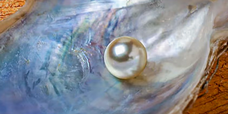 Why Should I Look For Pearl Nacre?