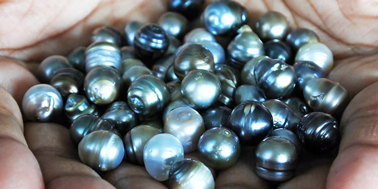 Why Should I Look For Pearl Nacre?