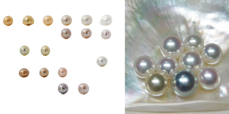Why South Sea Pearls Are Precious?